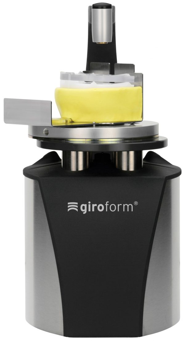 Model Systems Archives | WHW