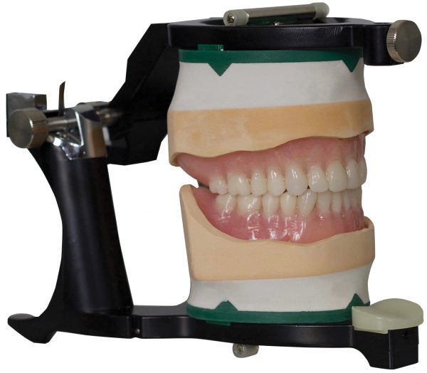 ARTEX® ARTICULATORS | WHW